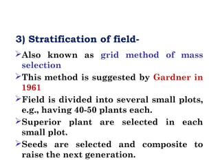 6. mass selection | PPT