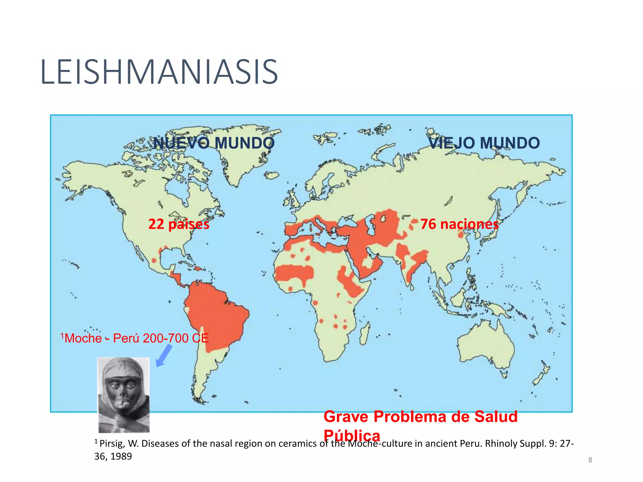 6. leishmaniasis (1) | PPTX | Infectious Diseases | Diseases and Conditions