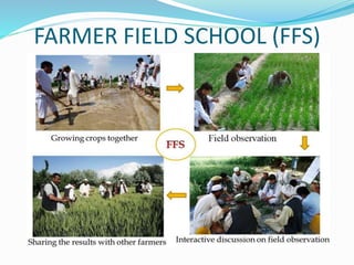 Farmer Field School | PPTX