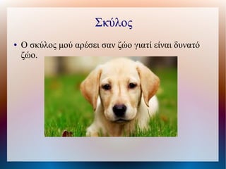 6 Αποστολία Ιωαννα Αναστασακη | ODP
