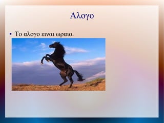 6 Αποστολία Ιωαννα Αναστασακη | ODP