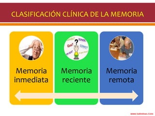 trastorno de la memoria en el adulto mayor | PPTX