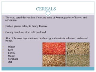 Cereals genomics and protiomics | PPTX