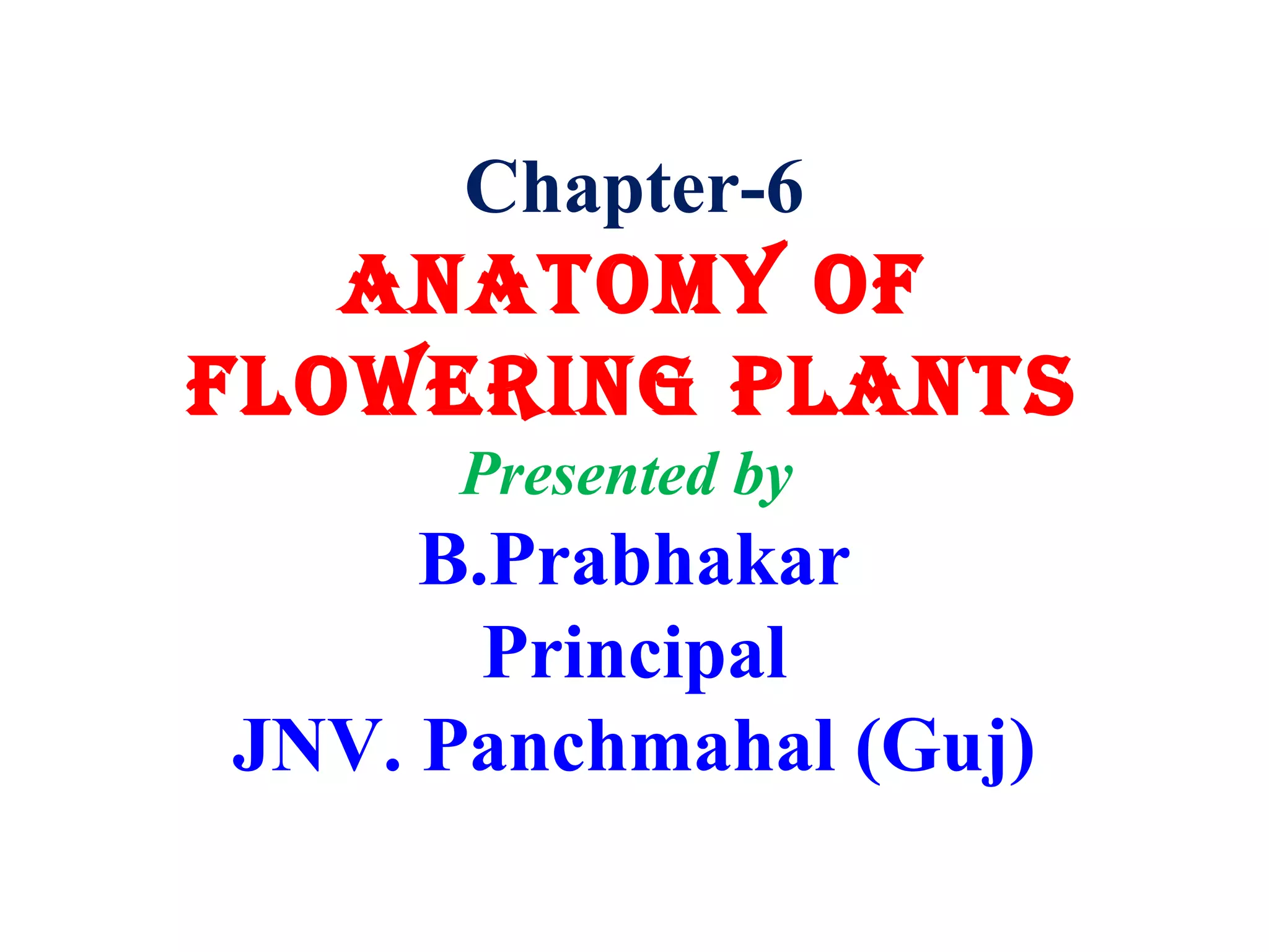6. anatomy of flowering plants | PPT