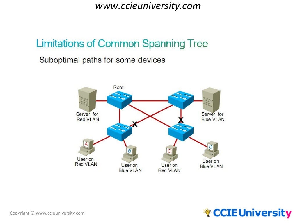 Building A Redundant Switched Topology