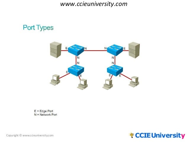 Building A Redundant Switched Topology
