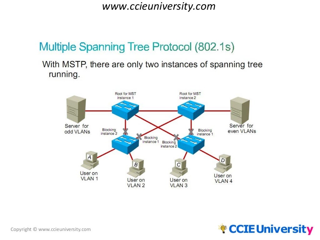 Building A Redundant Switched Topology
