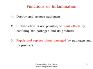 6. inflammation | PDF