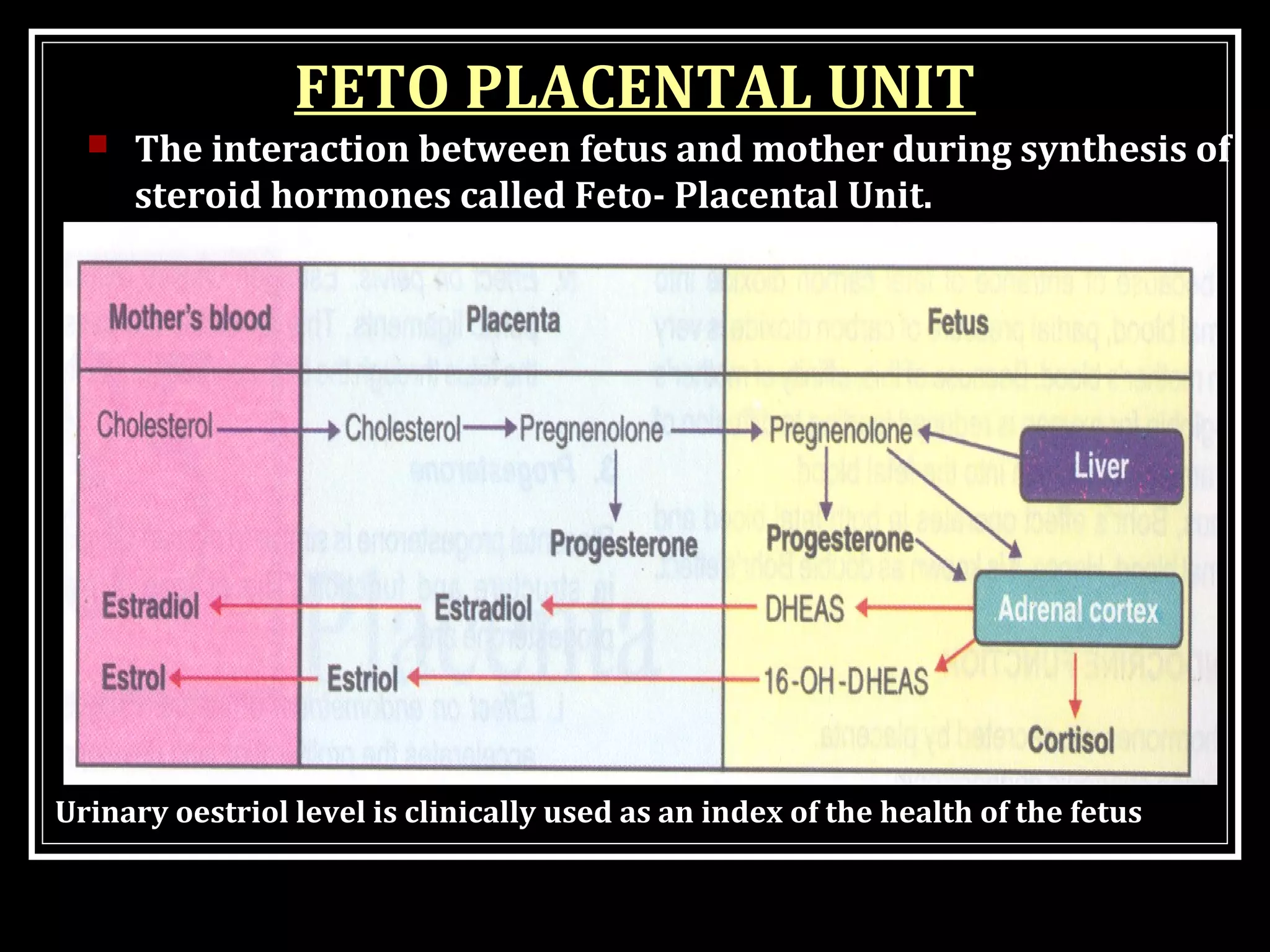 PLACENTA, PARTURITION AND LACTATION | PPT