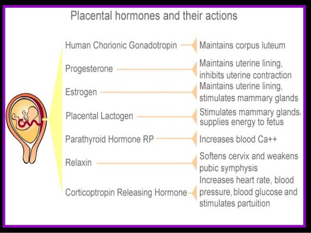 PLACENTA, PARTURITION AND LACTATION