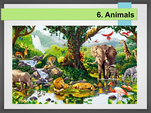 TYPES OF ANIMALS | PPT