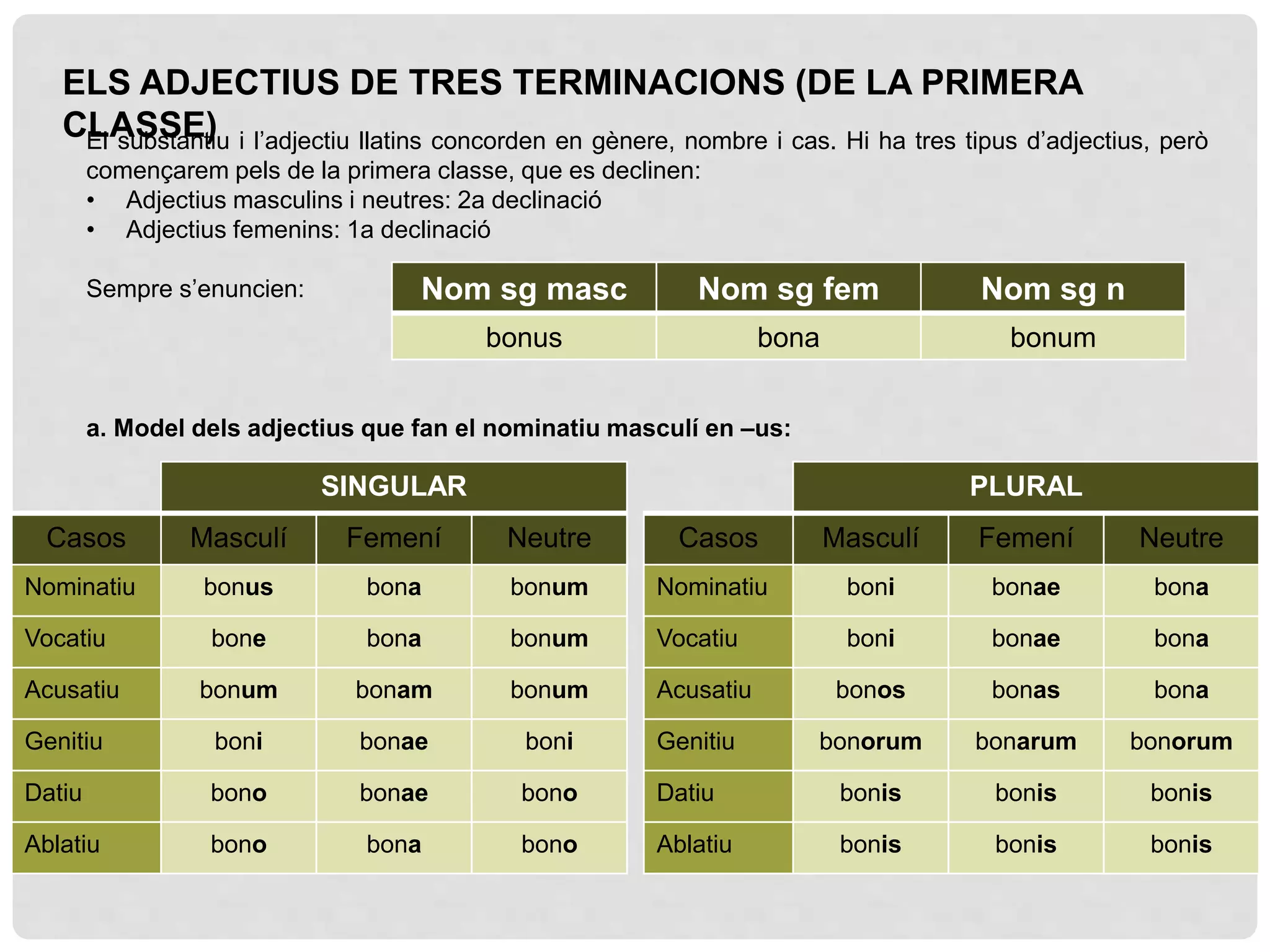Els adjectius de tres terminacions | PPTX