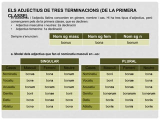 Els adjectius de tres terminacions | PPTX