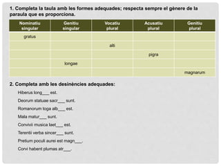 Els adjectius de tres terminacions | PPTX