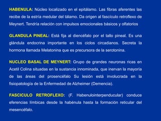 Anatomía y Fisiología del Cuerpo Estriado - AVC | PPTX