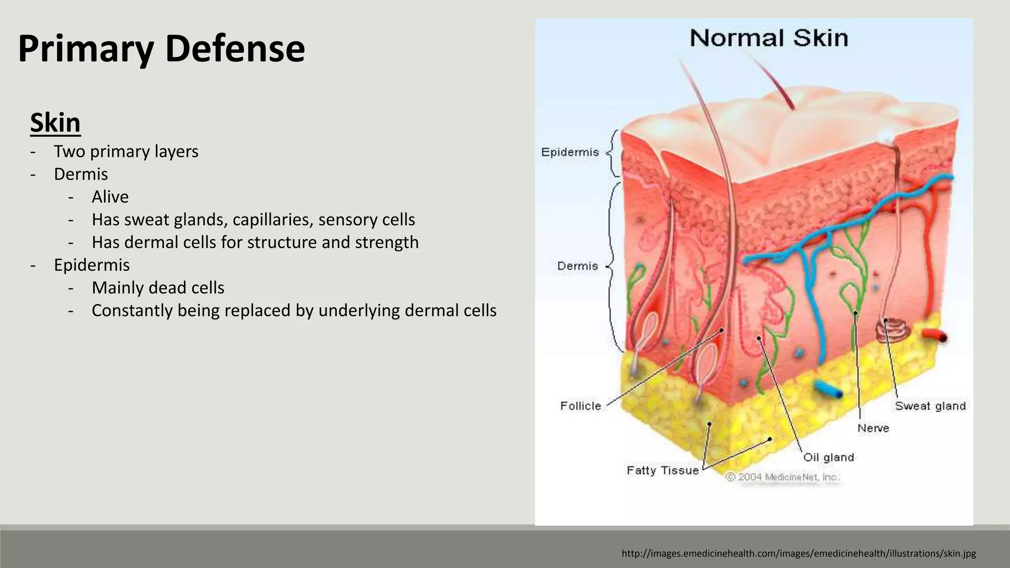 6.3 defense against infectious diseases | PPTX