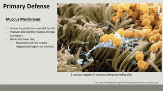 6.3 defense against infectious diseases | PPTX