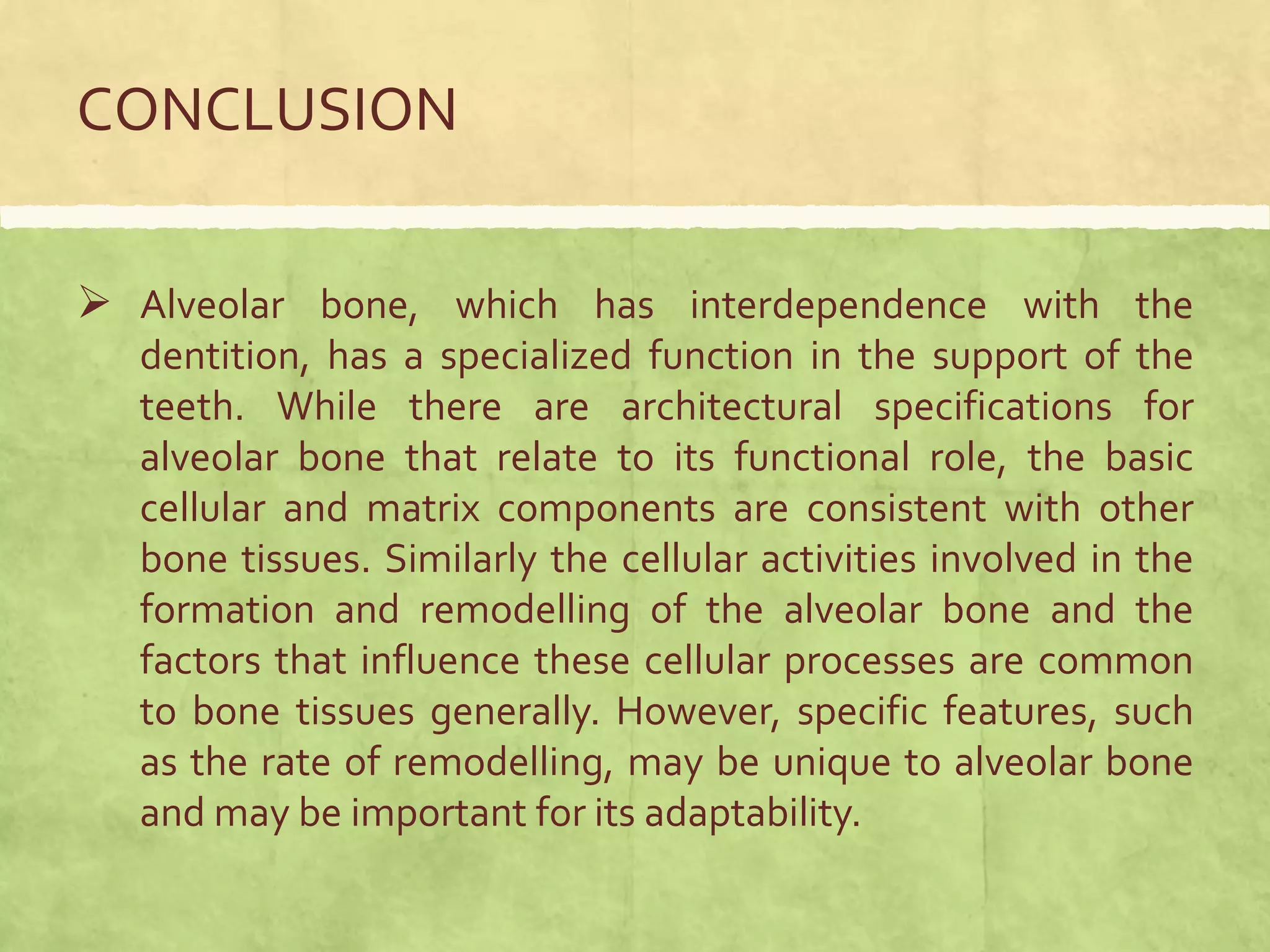 6. alveolar bone in health part b dr-ibrahim_shaikh | PPTX