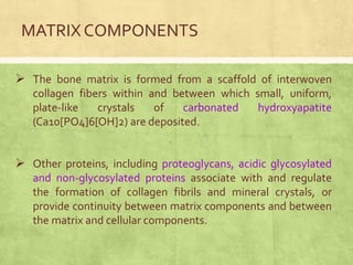 6. alveolar bone in health part b dr-ibrahim_shaikh | PPT