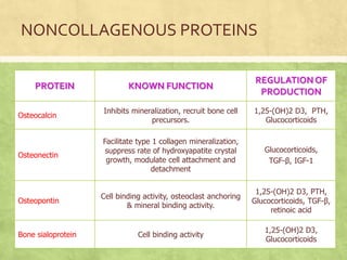 6. alveolar bone in health part b dr-ibrahim_shaikh | PPT