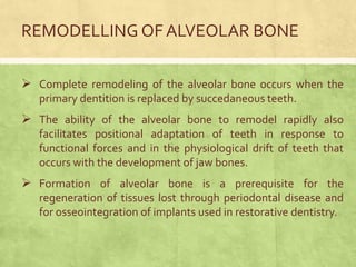 6. alveolar bone in health part b dr-ibrahim_shaikh | PPT