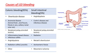 LOWER GI BLEEDING | PPT