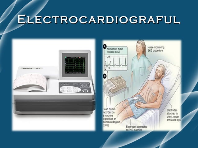 6. avram daria xe-efectul fiziologic al curentului | PPT