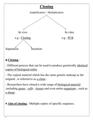 Cloning Process