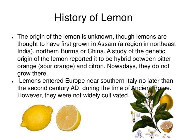 History of lemon, variaties, taste and aroma