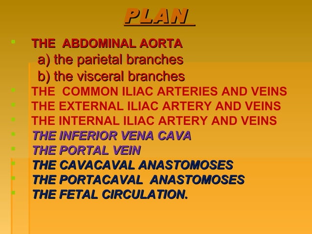Anatomy of Blood vessels of abdomen pelvic cavities. Portacaval ...
