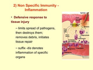 Lymphatic system | PPT