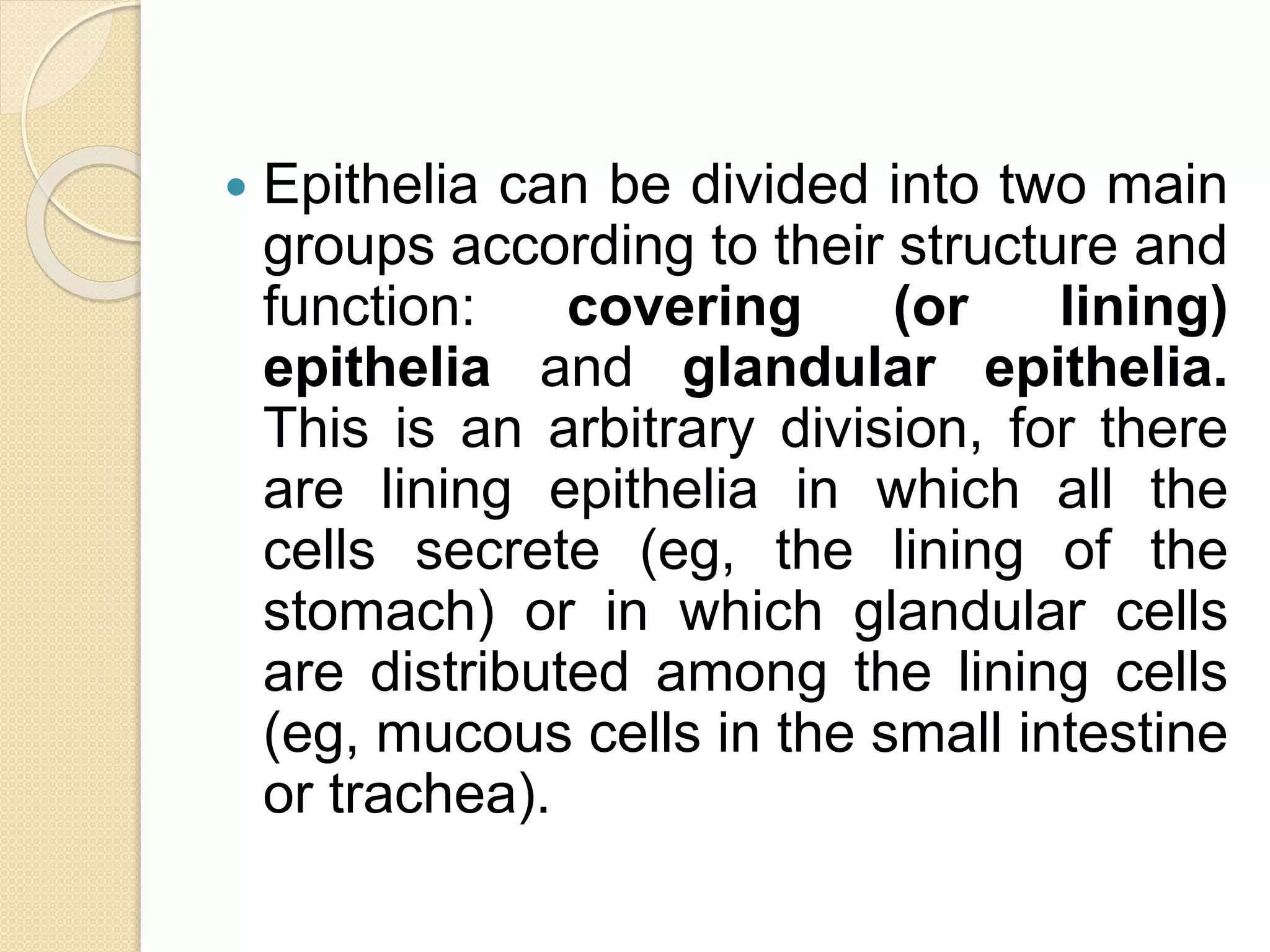 Types of Epithelia | PPTX