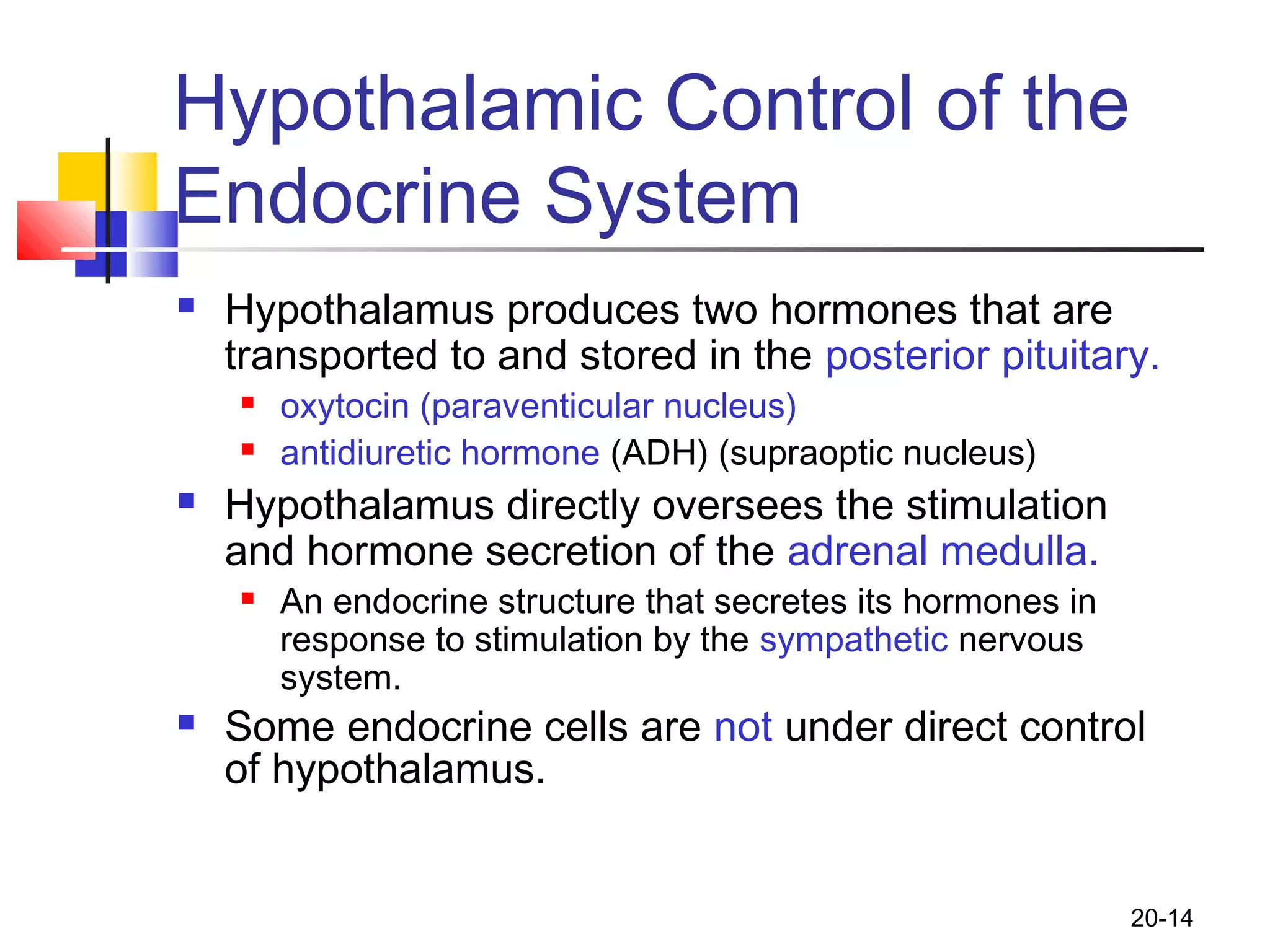 Endocrine glands | PDF