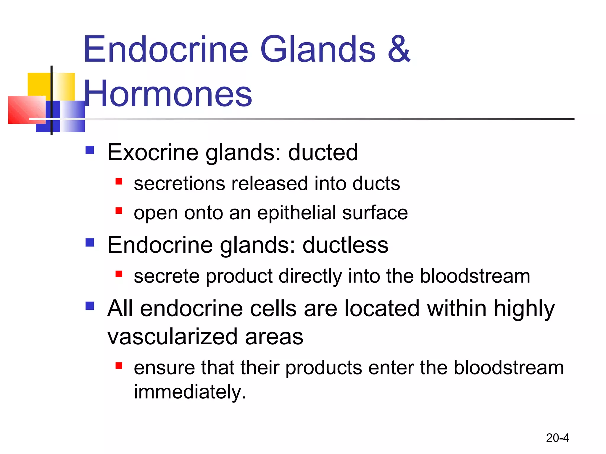 Endocrine glands | PDF