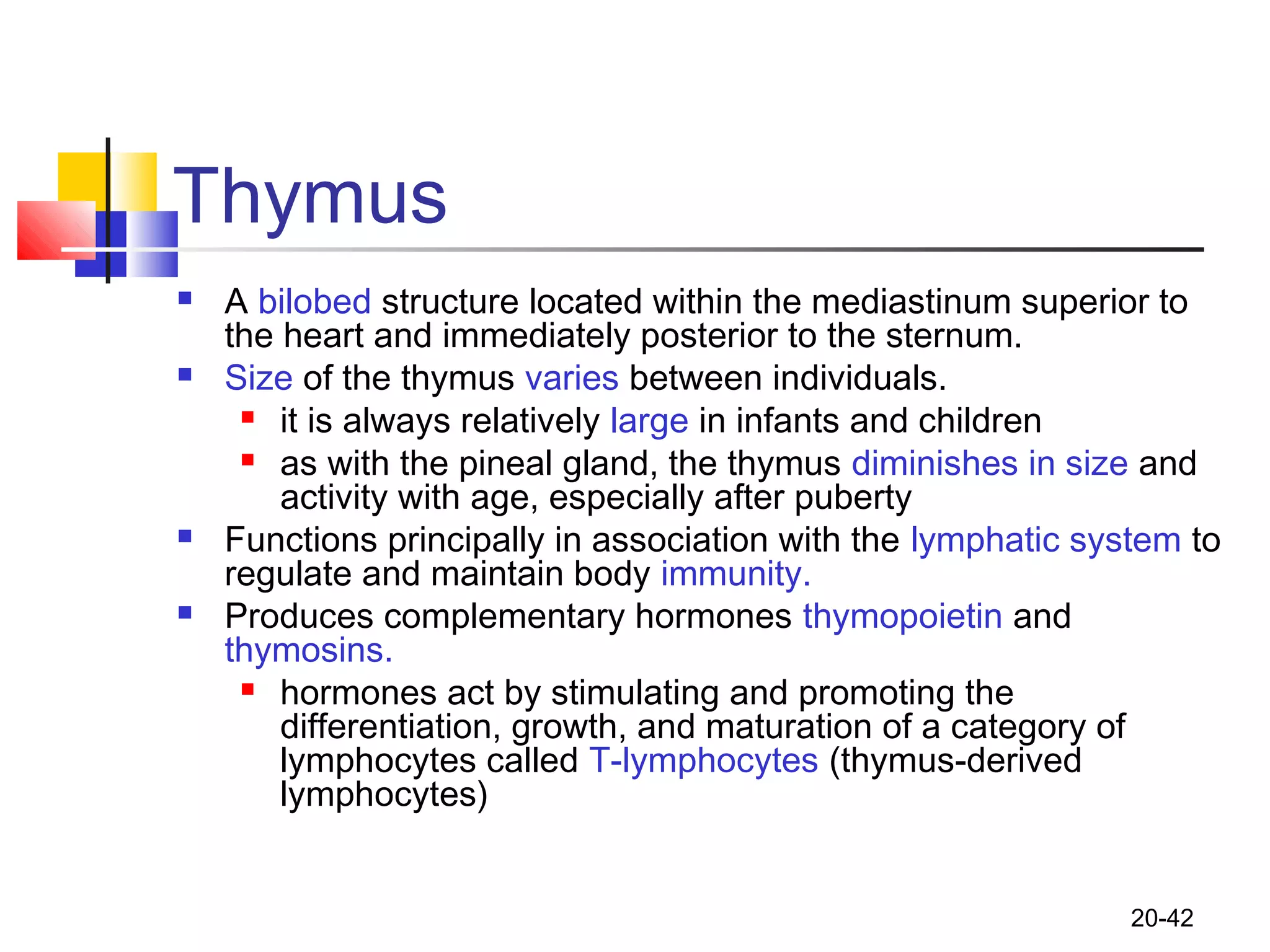 Endocrine glands | PDF