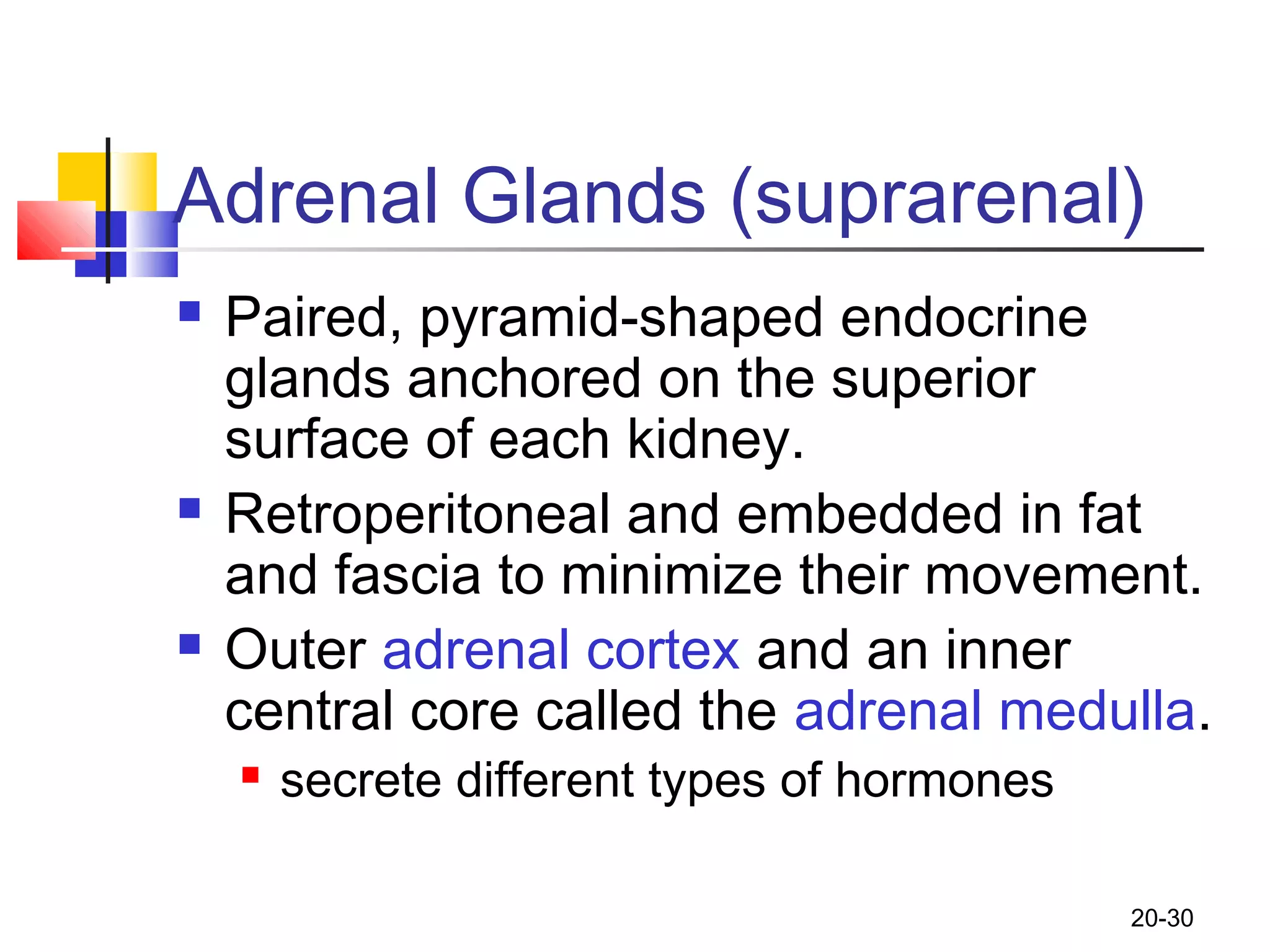 Histology of Endocrine system | PPT