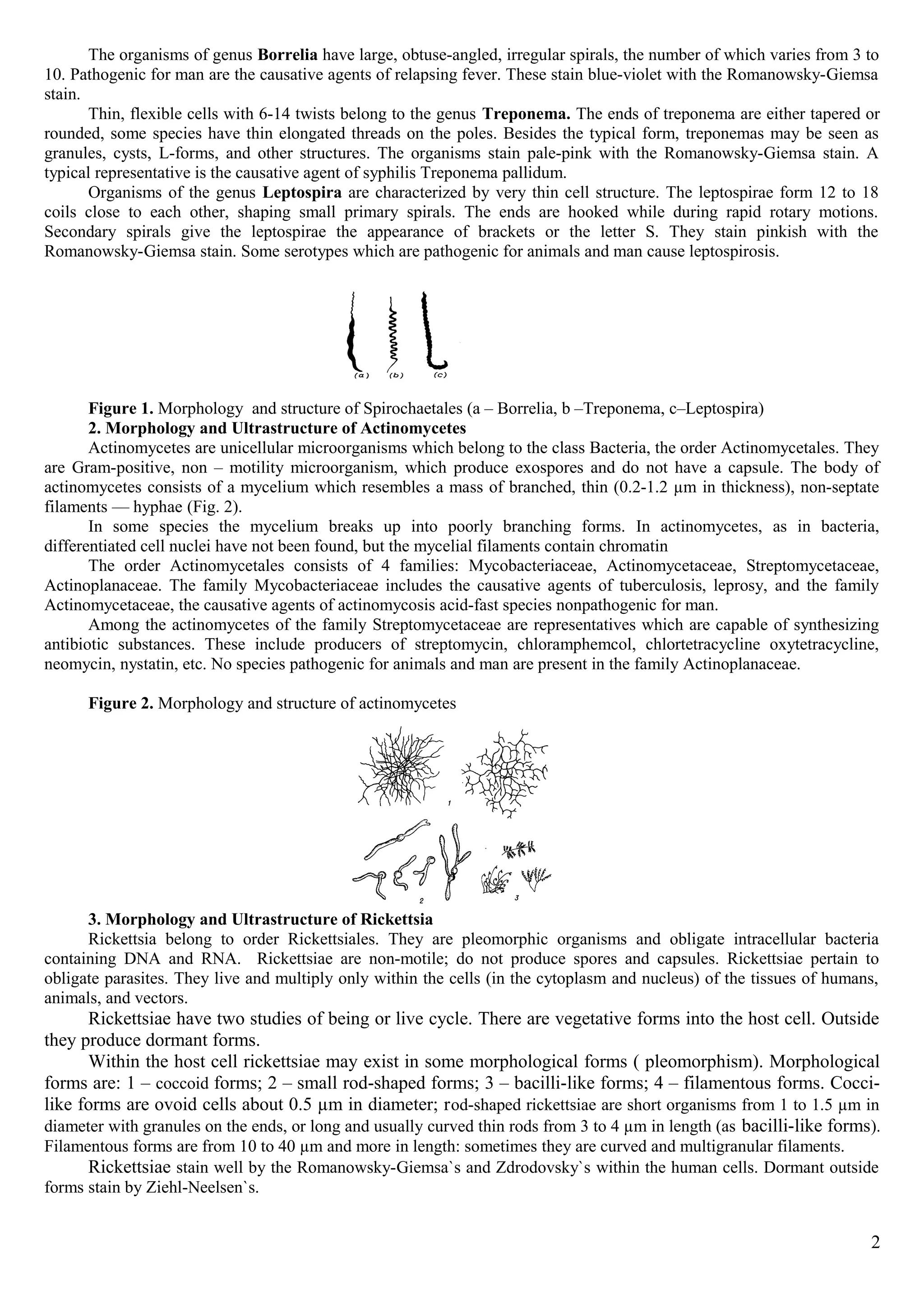 Features of structure of Spirochetes, Rickettsia, Chlamydia ...