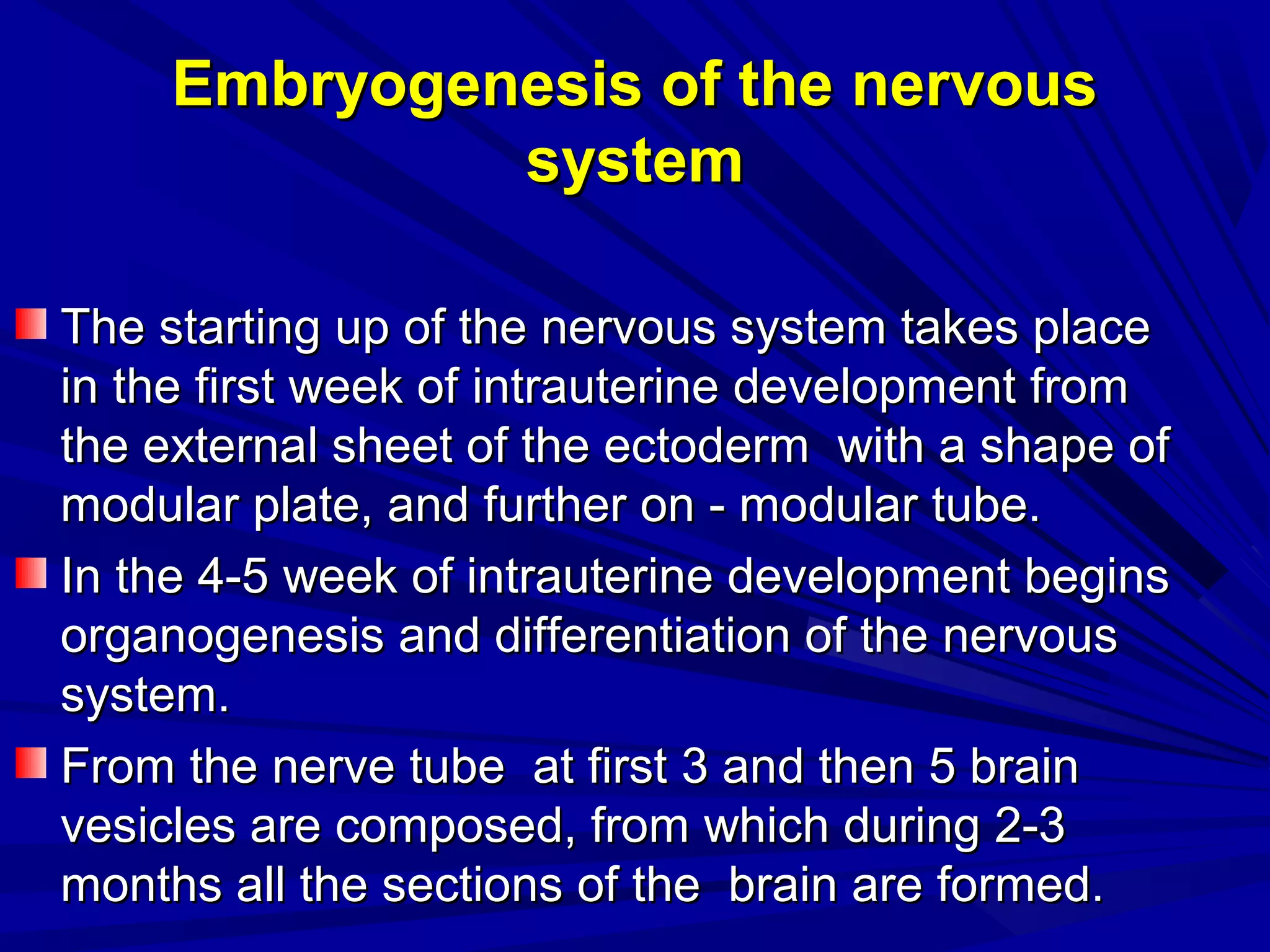 Nervous system in children – Part 2 | PPT | Brain and Nervous System ...