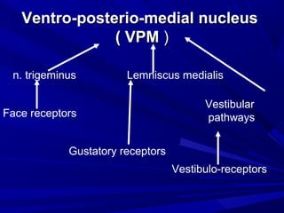 Functions of Diencephalon & Subcortical Ganglia | PPT