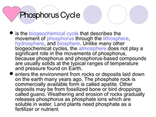 6. Integrated nutrient management ( phosphorus cycle) By Allah Dad Khan ...