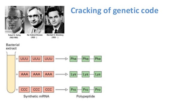 Genetic code - with YouTube video