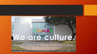 Promoting Social Change in Houston | PPTX