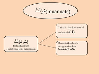 6. isim isyaroh mudzakkar dan muannats.pptx dita azzahra | PPTX