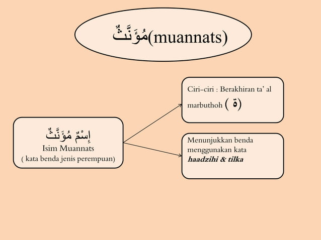 6. isim isyaroh mudzakkar dan muannats.pptx dita azzahra | PPTX