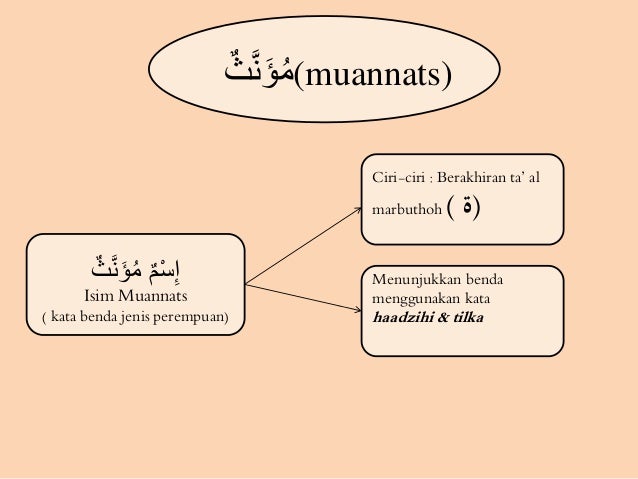 Isim Muannats Contoh Ciri Pengertian Dan Penjelasanny - vrogue.co Isim Muannats Contoh Ciri Pengertian Dan Penjelasanny - vrogue.co
