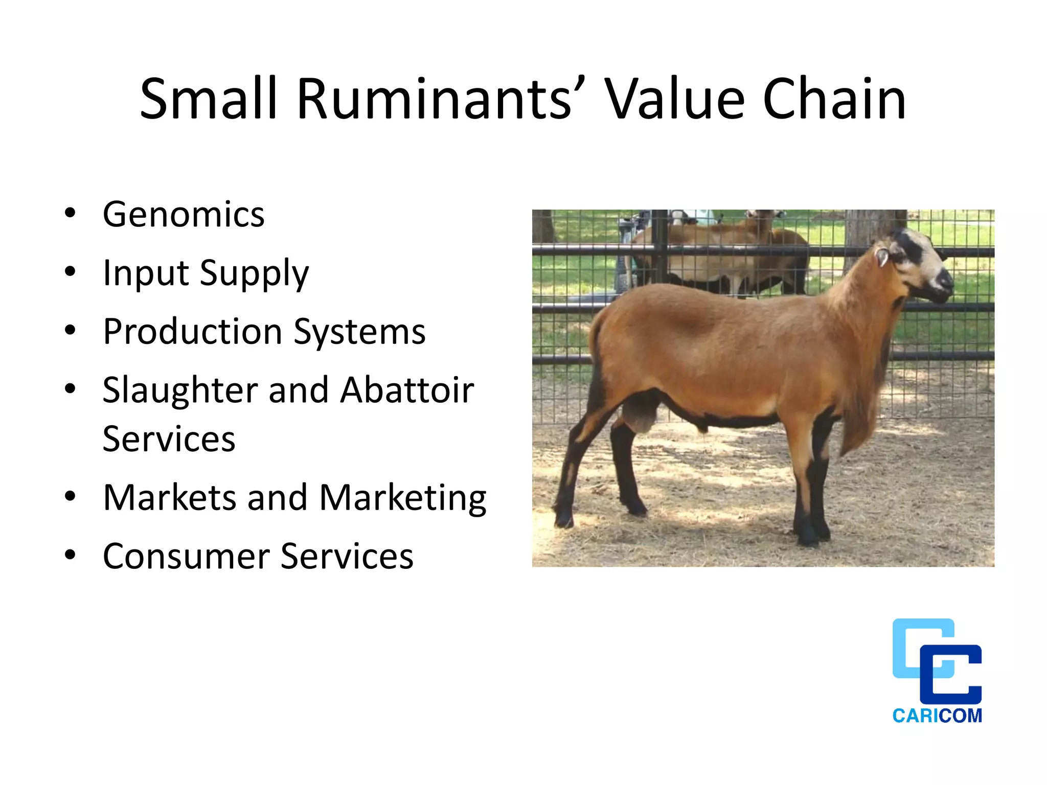 Innovations in Value Chain Development – Small Ruminants | PPT