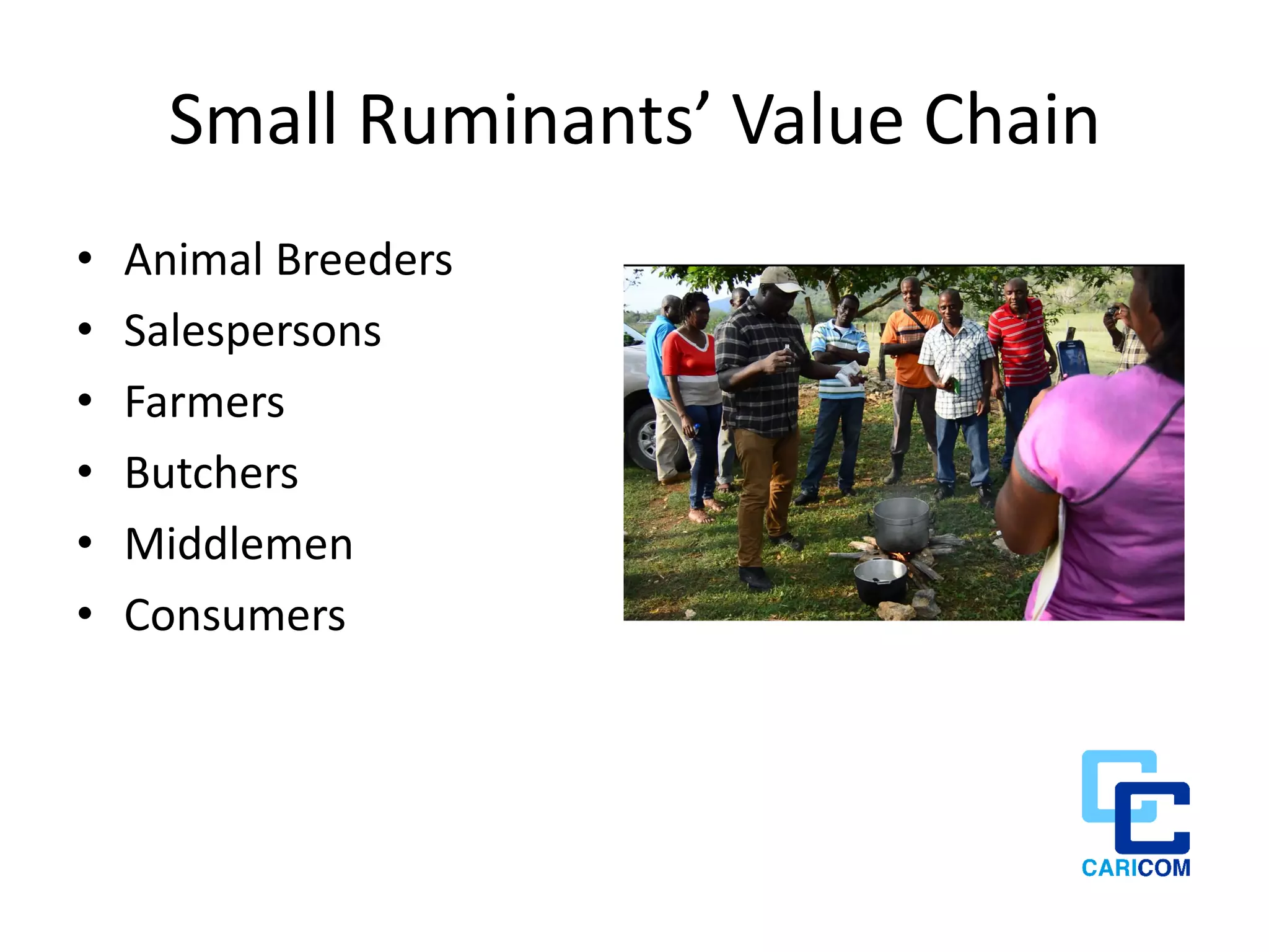 Innovations in Value Chain Development – Small Ruminants | PPT