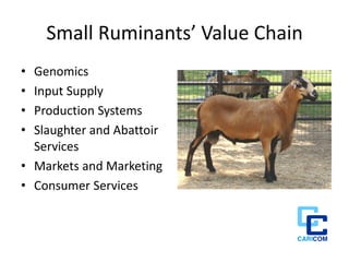Innovations in Value Chain Development – Small Ruminants | PPT