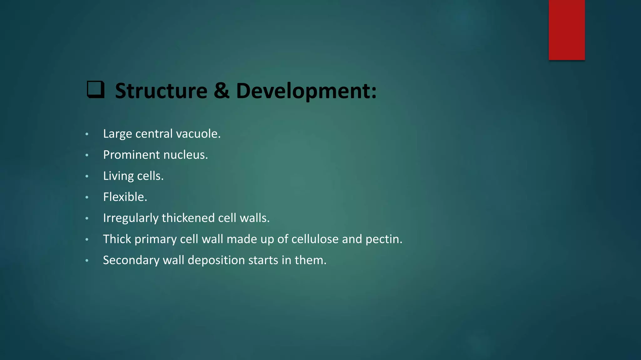 Structure, Development & Function of Collenchyma | PPTX
