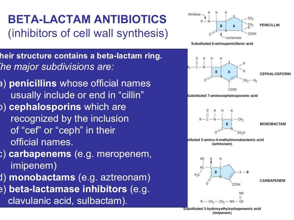 Beta lactam antibiotics